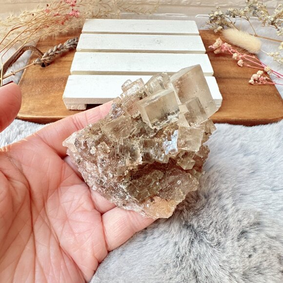 MM&H Designs | Accents | Gorgeous Halite Salt Crystal Cluster From ...